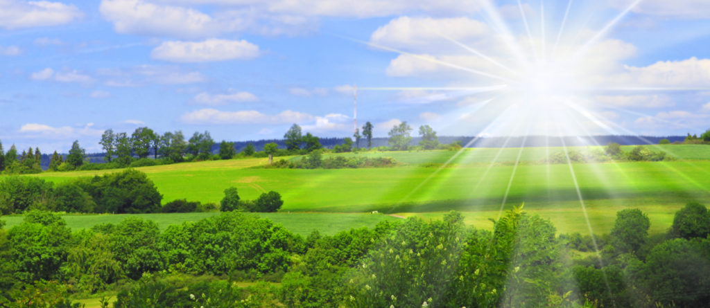 2030 Energy Strategy - European Lime Association 2030 Energy Strategy - European Lime Association